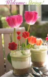 Green Tea Matcha Yogurt Parfait - Marla Meridith